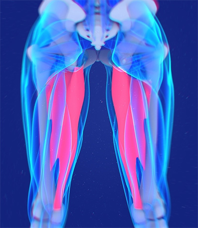 Unlock Your Pelvis | Strong By Design